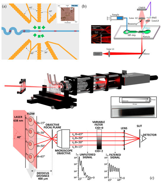 On-Chip Photonic Detection Techniques for Non-Invasive In Situ ...