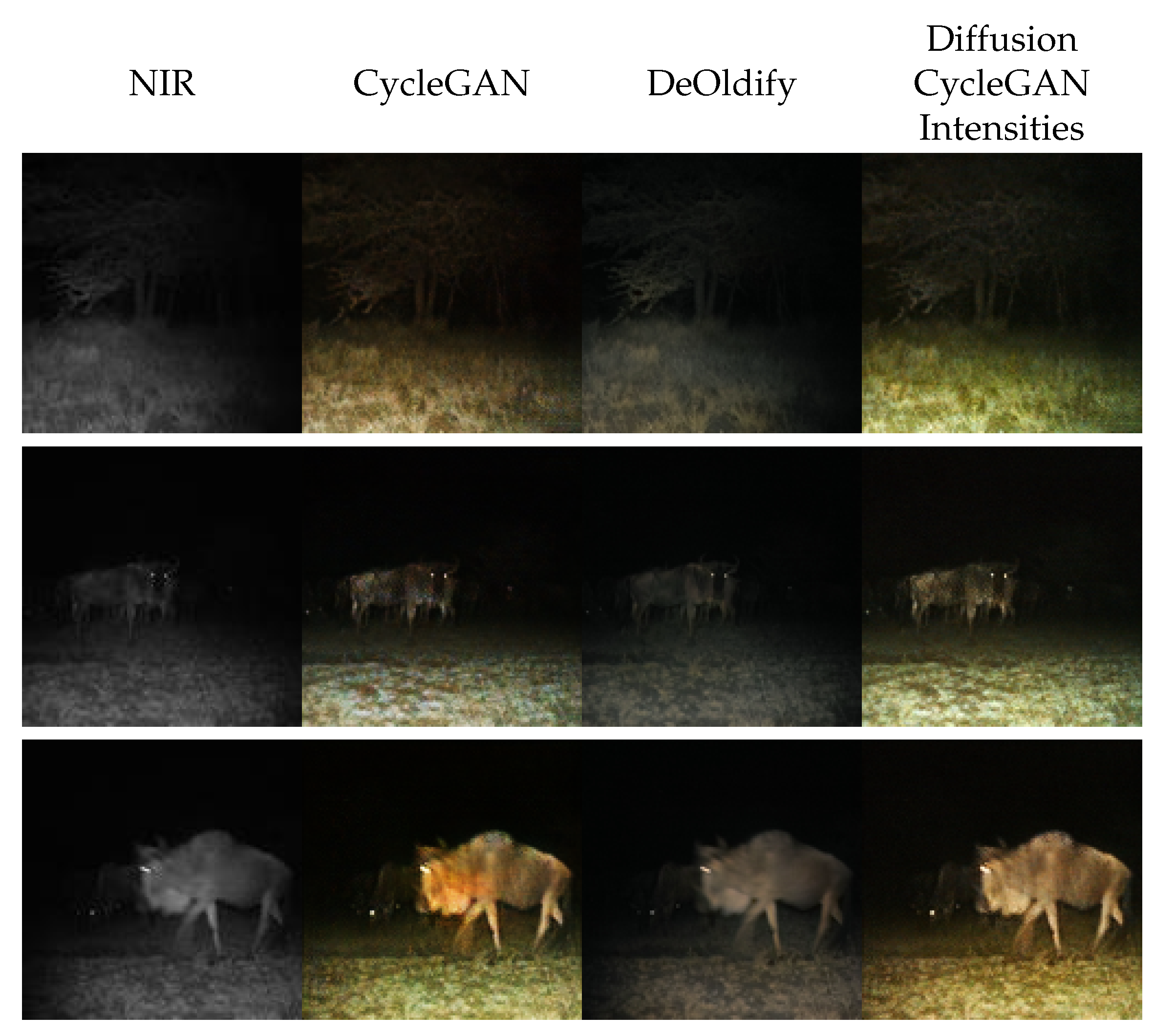 The Potential of Diffusion-Based Near-Infrared Image Colorization
