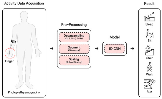Exploring the Possibility of Photoplethysmography-Based Human Activity Recognition Using ...