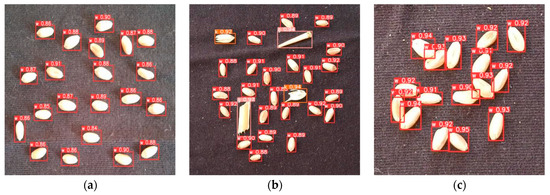 Wheat Seed Detection and Counting Method Based on Improved YOLOv8 Model