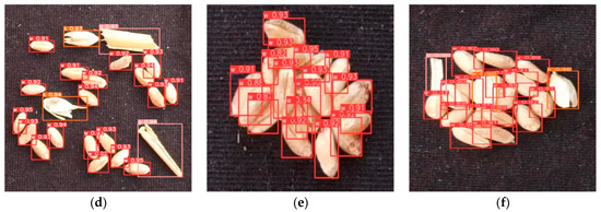 Wheat Seed Detection and Counting Method Based on Improved YOLOv8 Model
