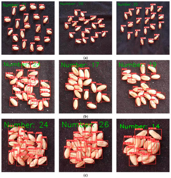 Wheat Seed Detection and Counting Method Based on Improved YOLOv8 Model