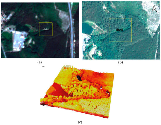 Fusion of Dense Airborne LiDAR and Multispectral Sentinel-2 and ...
