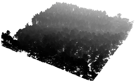 Fusion Of Dense Airborne Lidar And Multispectral Sentinel 2 And Pleiades Satellite Imagery For