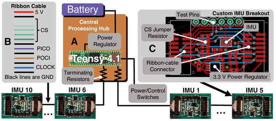 Sensors | Free Full-Text | Distributed IMU Sensors for In-Field Dynamic ...