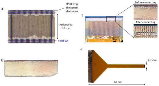 Development of a Small-Footprint 50 MHz Linear Array: Fabrication and ...