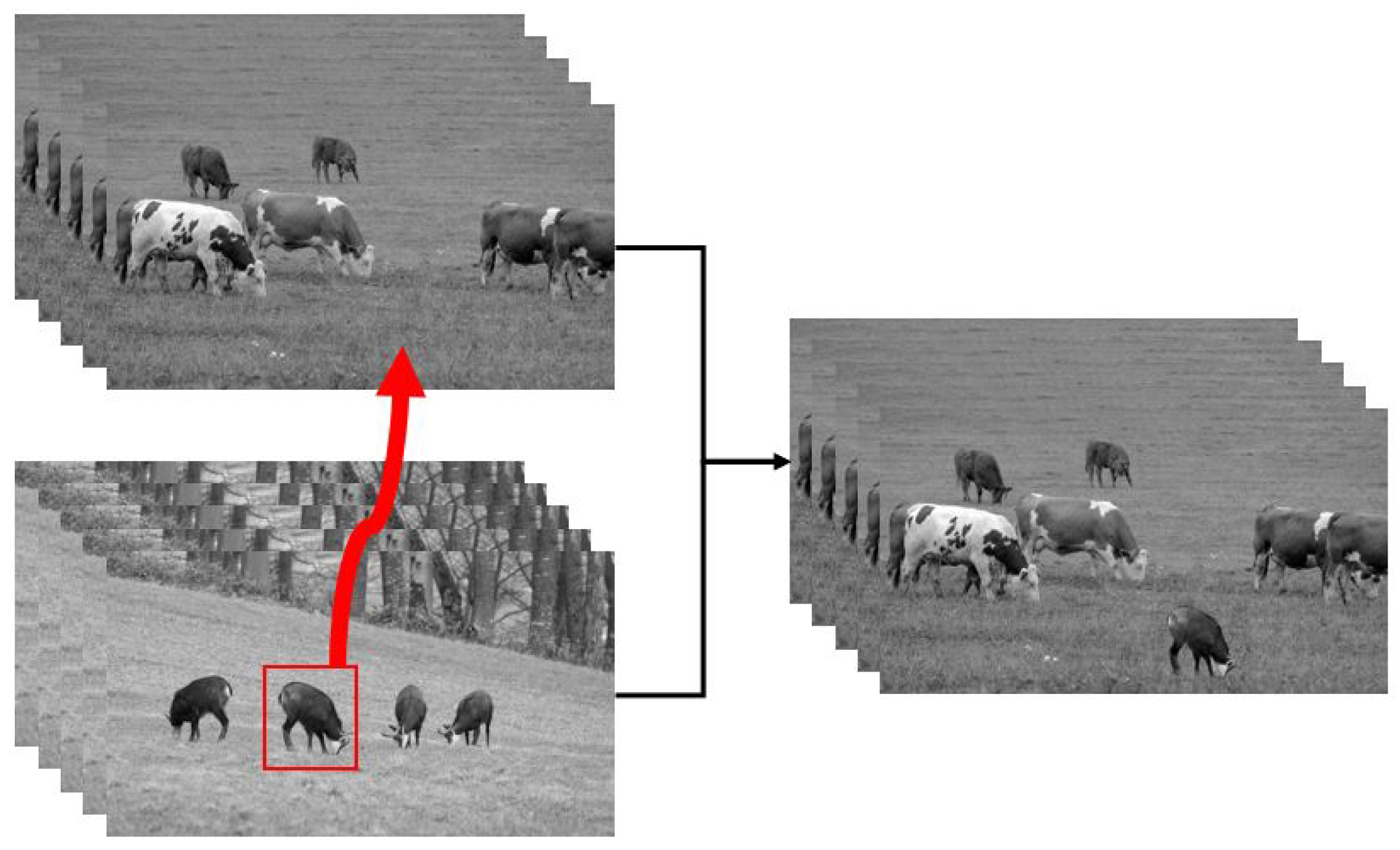 Sensors | Free Full-Text | Enhanced Seamless Video Fusion: A Convolutional Pyramid-Based 3D ...