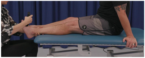 Variability between Different Hand-Held Dynamometers for Measuring ...