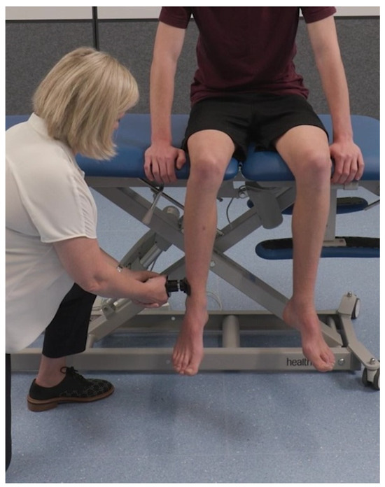 Variability between Different Hand-Held Dynamometers for Measuring ...