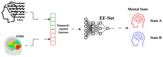 Sensors | Free Full-Text | EF-Net: Mental State Recognition by Analyzing Multimodal EEG-fNIRS ...