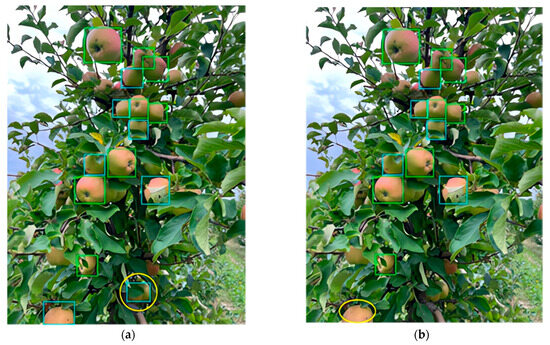 Sensors | Free Full-Text | Intelligent Integrated System for Fruit ...