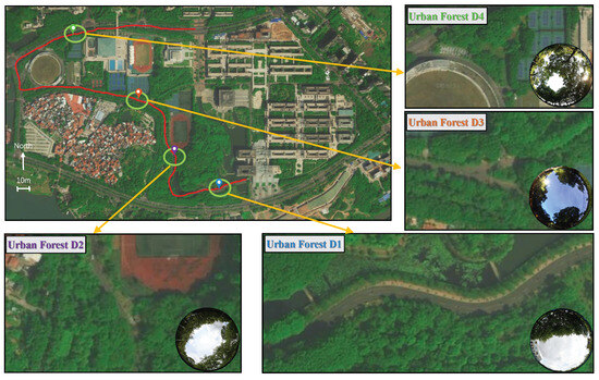 Sensors | Free Full-Text | An Efficient Convolutional Denoising Autoencoder-Based BDS NLOS ...