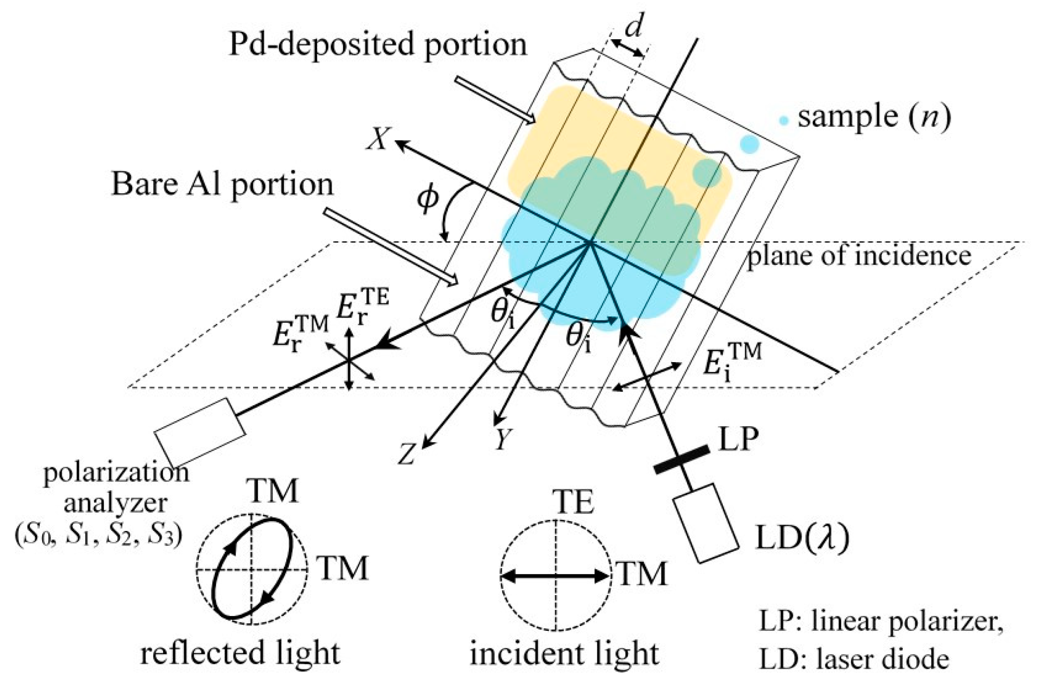 Polarization Property Associated with Surface Plasmon Resonance in a ...