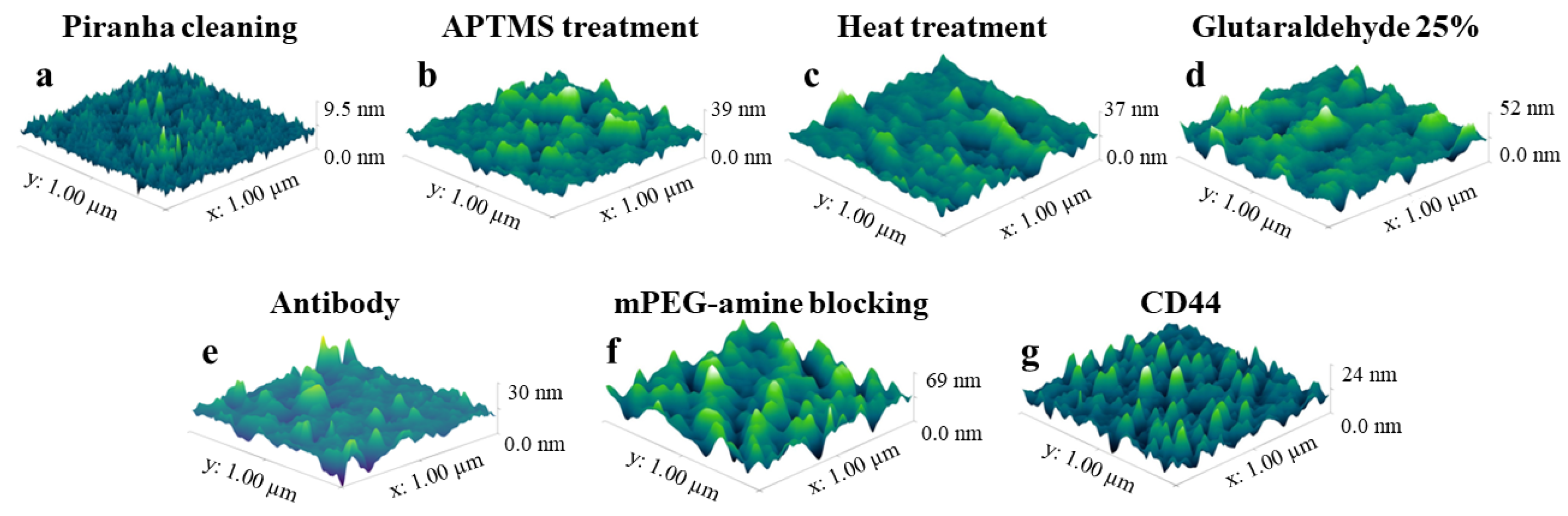 Dynamic Measurement of a Cancer Biomarker: Towards In Situ Application ...