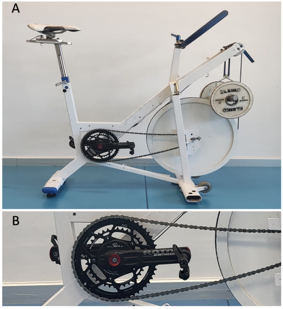 Torque–Cadence Profile and Maximal Dynamic Force in Cyclists: A Novel ...