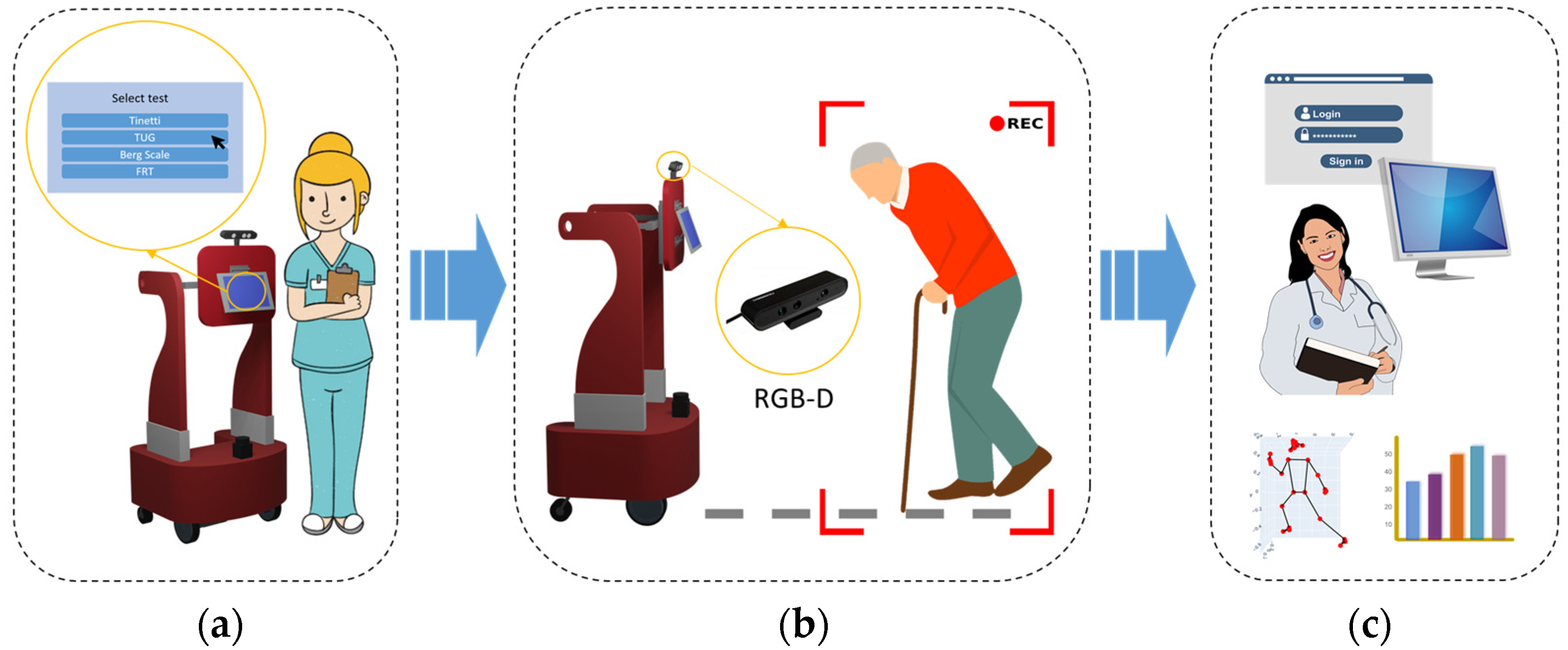 A Computer Vision-Based System to Help Health Professionals to Apply ...