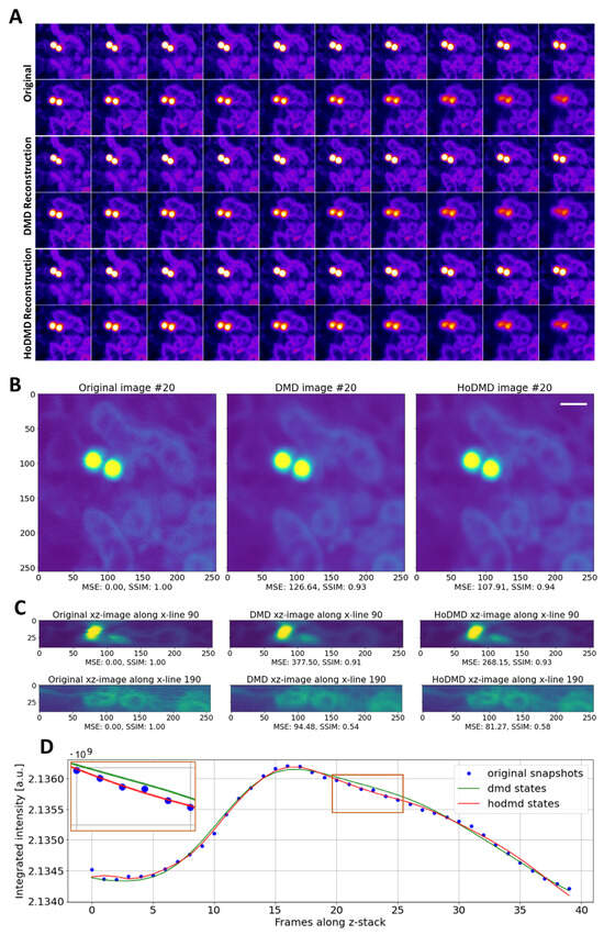 Dynamic Mode Decomposition of Multiphoton and Stimulated Emission Depletion Microscopy Data for ...