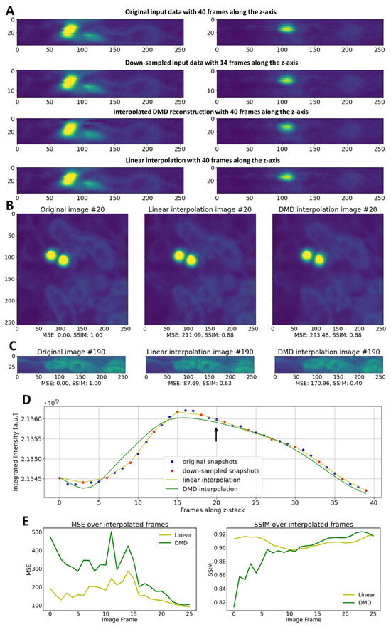 Dynamic Mode Decomposition of Multiphoton and Stimulated Emission Depletion Microscopy Data for ...