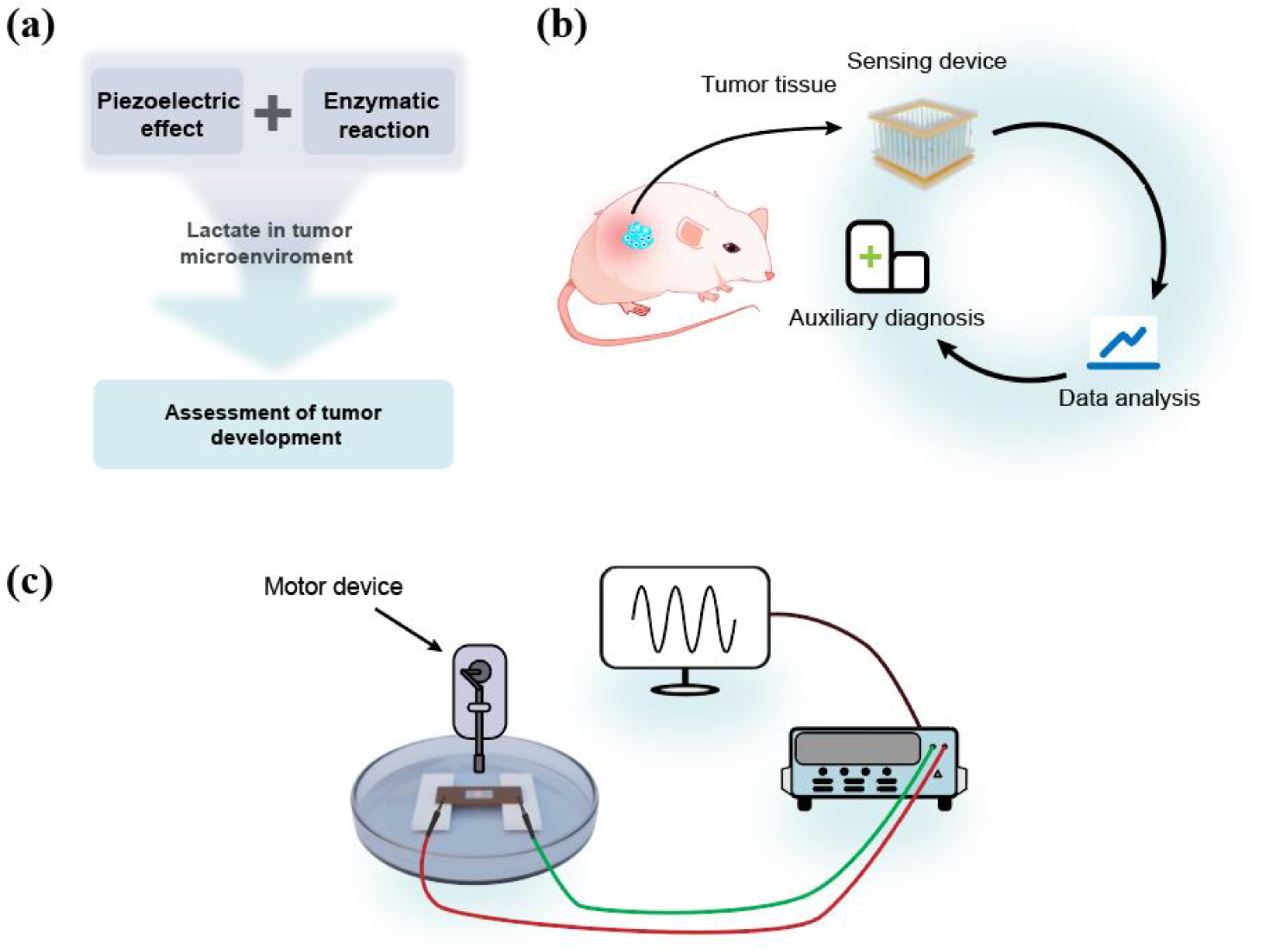 A Self-Powered Lactate Sensor Based on the Piezoelectric Effect for ...