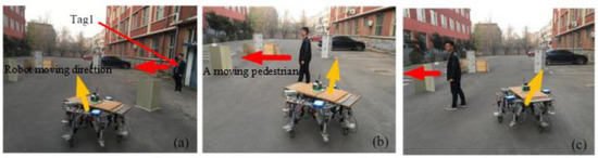 Path Planning for a Wheel-Foot Hybrid Parallel-Leg Walking Robot