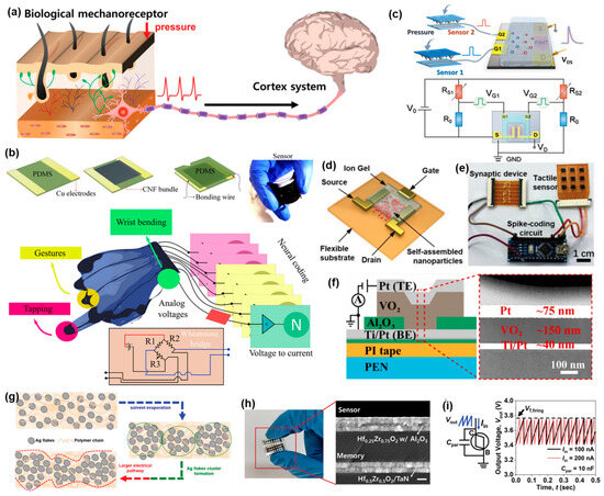 Recent Progress in Wearable Near-Sensor and In-Sensor Intelligent Perception Systems