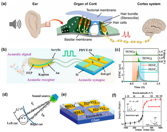Recent Progress in Wearable Near-Sensor and In-Sensor Intelligent Perception Systems