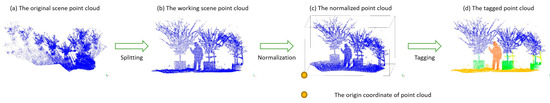 DFSNet: A 3D Point Cloud Segmentation Network toward Trees Detection in an Orchard Scene