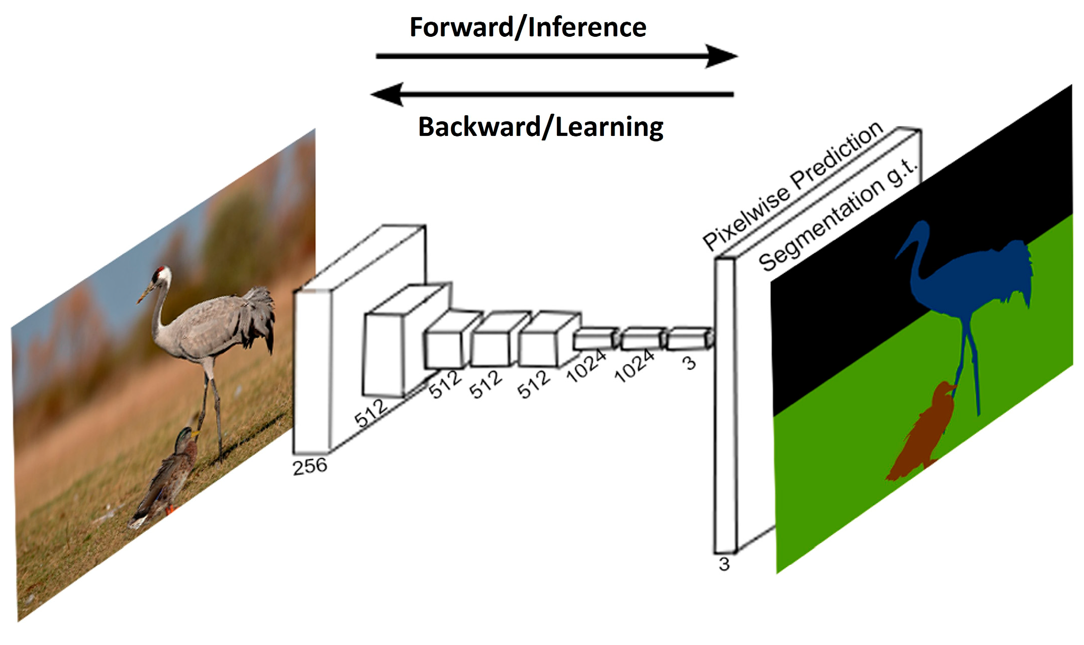 Sensors | Free Full-Text | A Review on Recent Deep Learning-Based Semantic Segmentation for ...