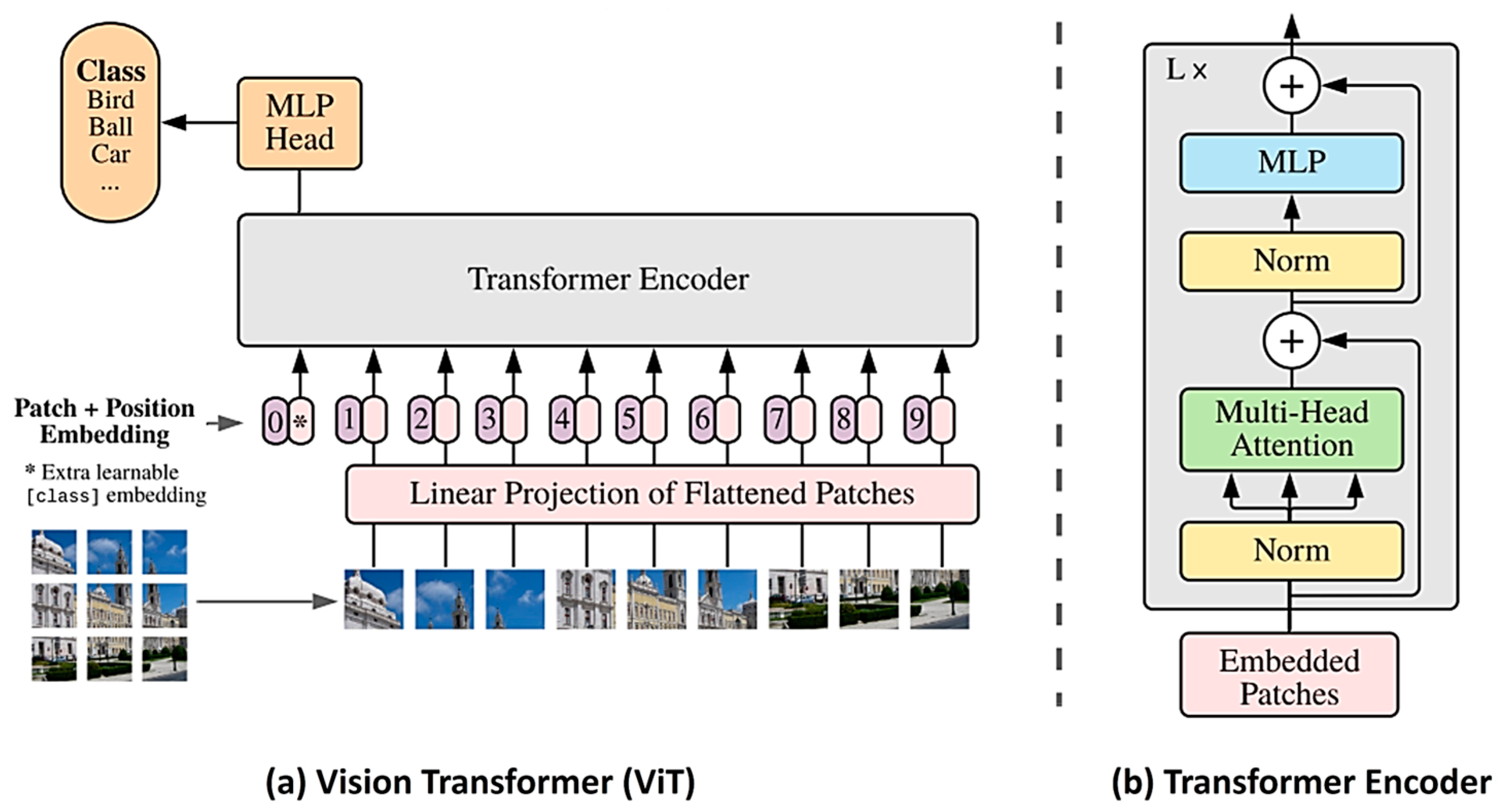 Sensors | Free Full-Text | A Review on Recent Deep Learning-Based Semantic Segmentation for ...