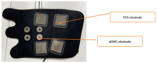 Recognition of Human Lower Limb Motion and Muscle Fatigue Status Using ...