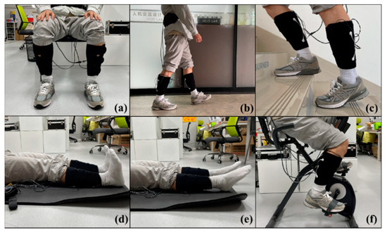 Recognition of Human Lower Limb Motion and Muscle Fatigue Status Using ...
