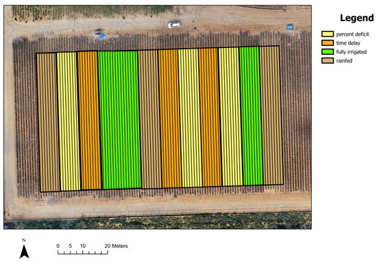 In-Season Cotton Yield Prediction with Scale-Aware Convolutional Neural ...