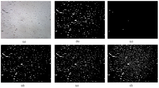 Real-Time Ferrogram Segmentation of Wear Debris Using Multi-Level ...