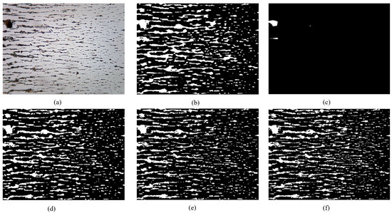 Real-Time Ferrogram Segmentation of Wear Debris Using Multi-Level ...