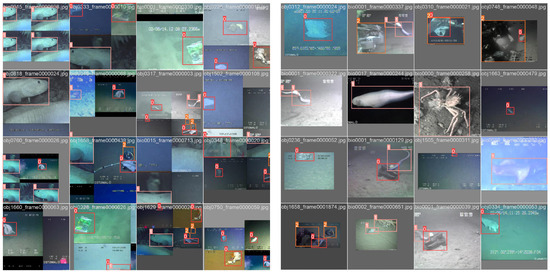 YOLOv8-C2f-Faster-EMA: An Improved Underwater Trash Detection Model Based on YOLOv8