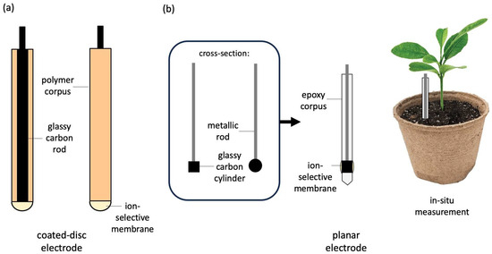 A New Planar Potentiometric Sensor for In Situ Measurements