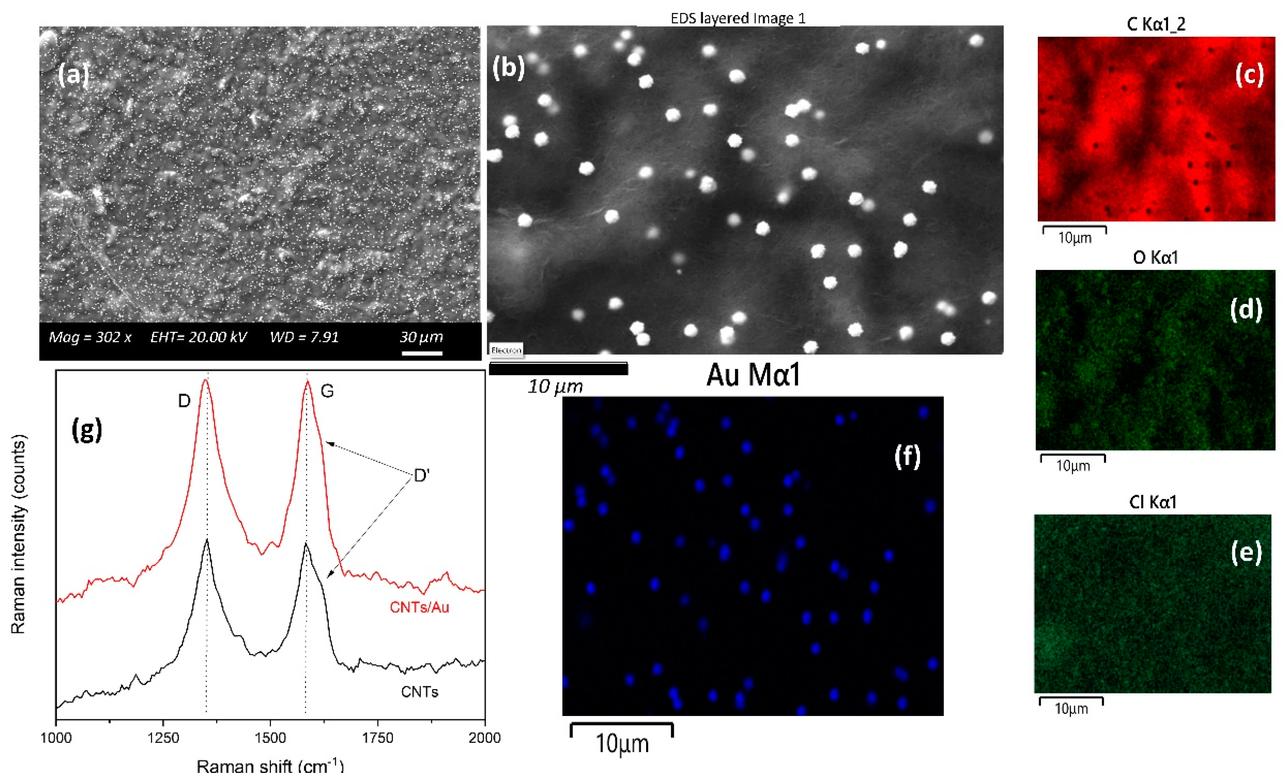 Electrochemical Detection of Bisphenol A Based on Gold Nanoparticles ...