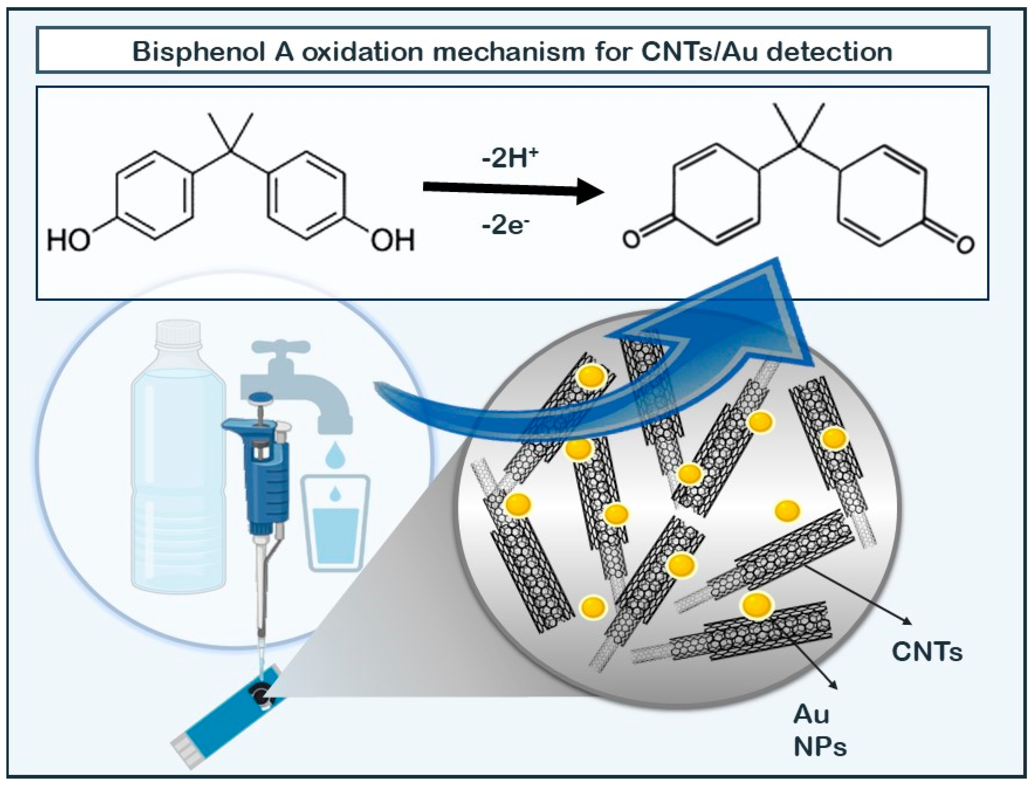Sensors | Free Full-Text | Electrochemical Detection of Bisphenol A Based on Gold Nanoparticles ...
