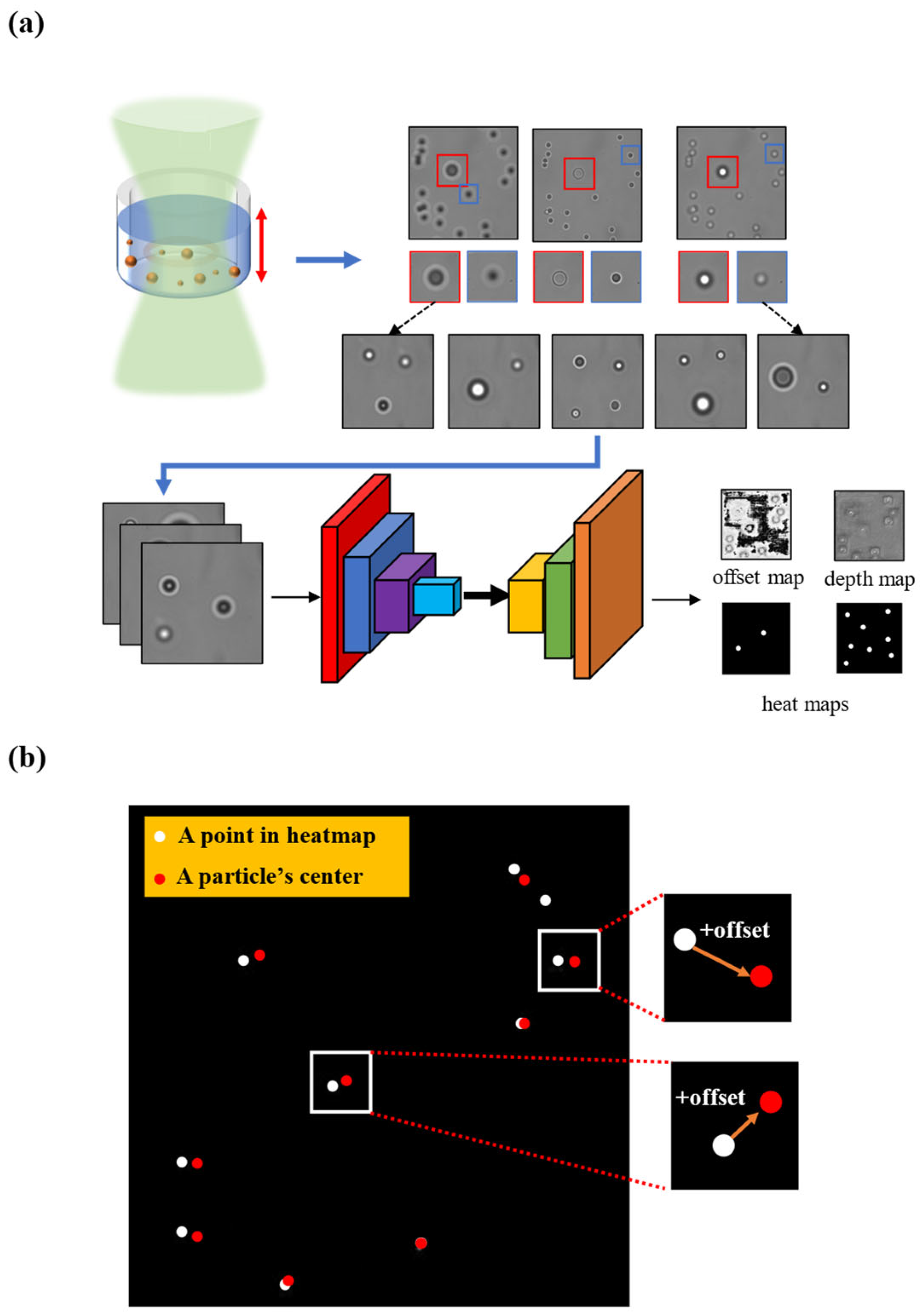 Real-Time 3D Tracking of Multi-Particle in the Wide-Field Illumination Based on Deep Learning