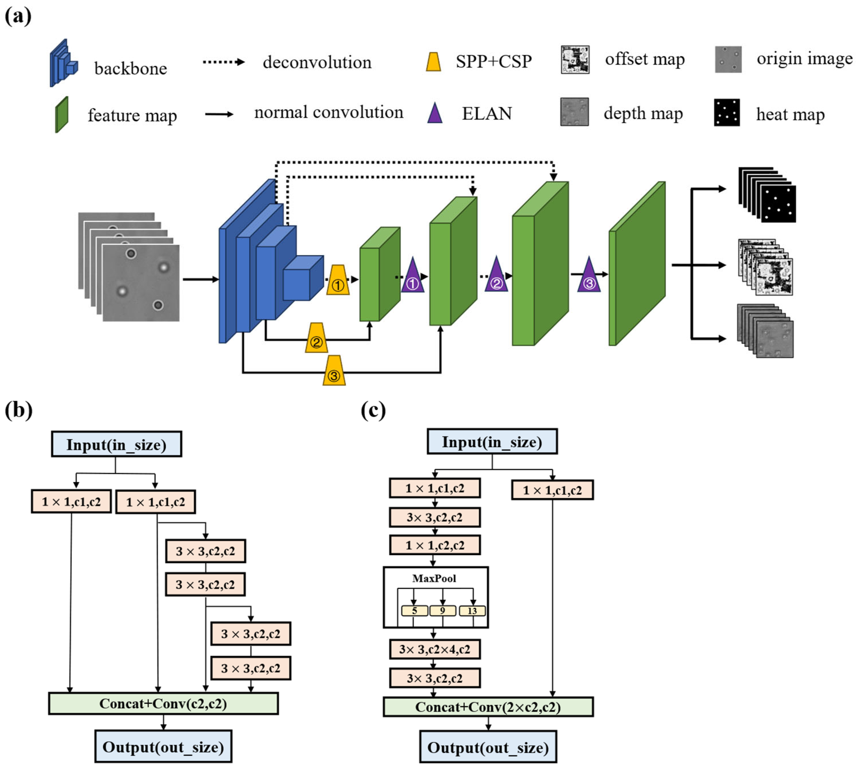 Real-Time 3D Tracking of Multi-Particle in the Wide-Field Illumination ...