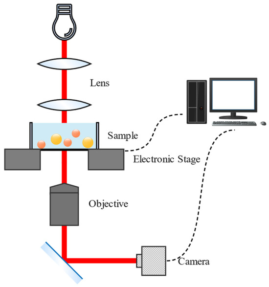Real-Time 3D Tracking of Multi-Particle in the Wide-Field Illumination ...