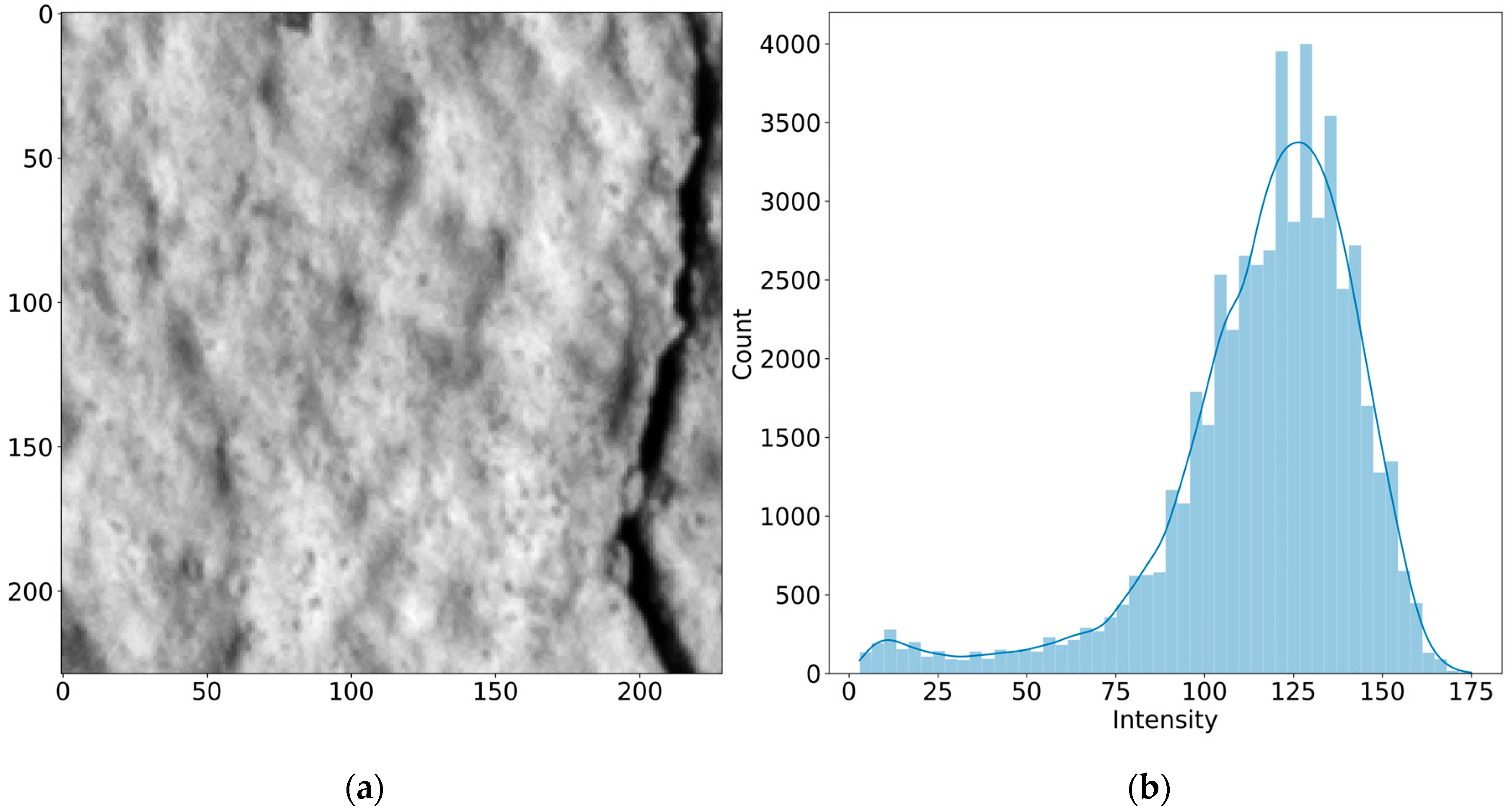 Image-Based Concrete Crack Detection Method Using the Median Absolute ...