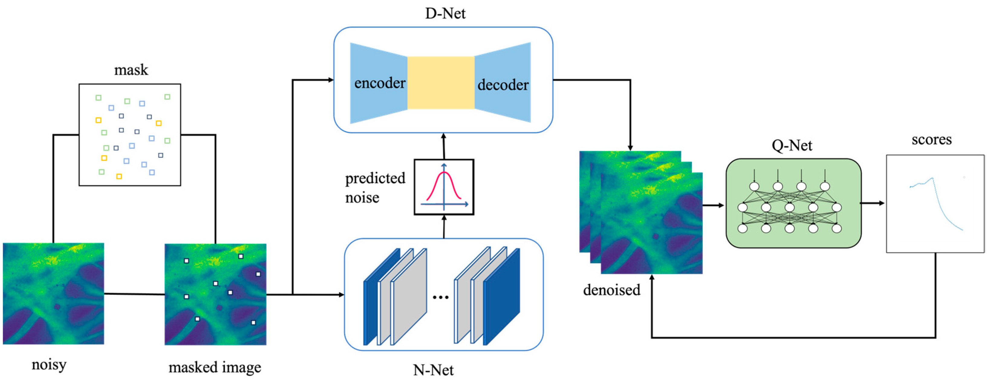 Sensors | Free Full-Text | Self-Supervised Joint Learning for pCLE Image Denoising