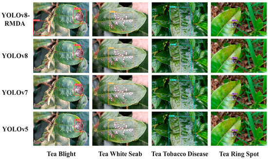 YOLOv8-RMDA: Lightweight YOLOv8 Network for Early Detection of Small Target Diseases in Tea