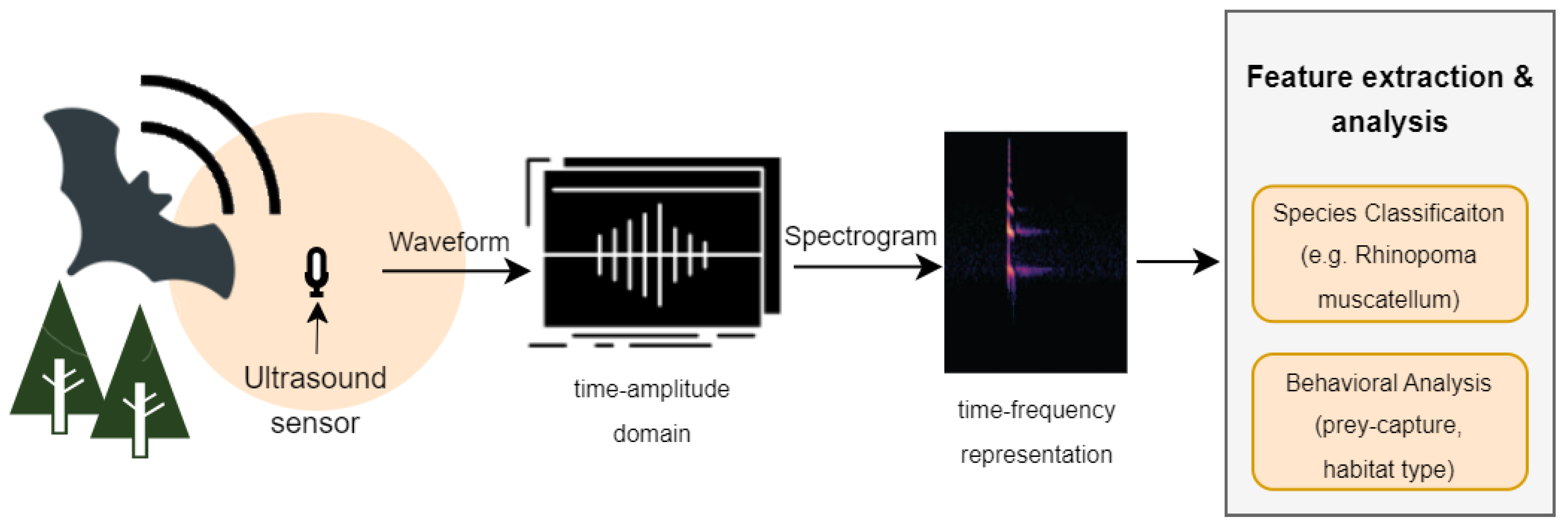 Sensors | Free Full-Text | Bat2Web: A Framework for Real-Time Classification of Bat Species ...