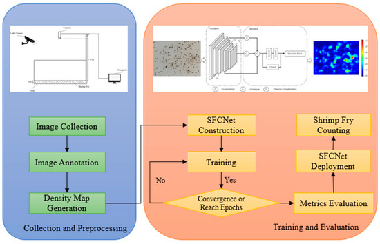 Automatic Shrimp Fry Counting Method Using Multi-Scale Attention Fusion