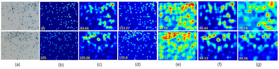 Automatic Shrimp Fry Counting Method Using Multi-Scale Attention Fusion
