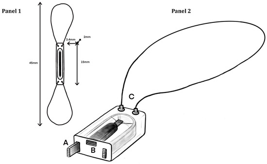 Sensors | Free Full-Text | MEMS Technology in Cardiology: Advancements ...