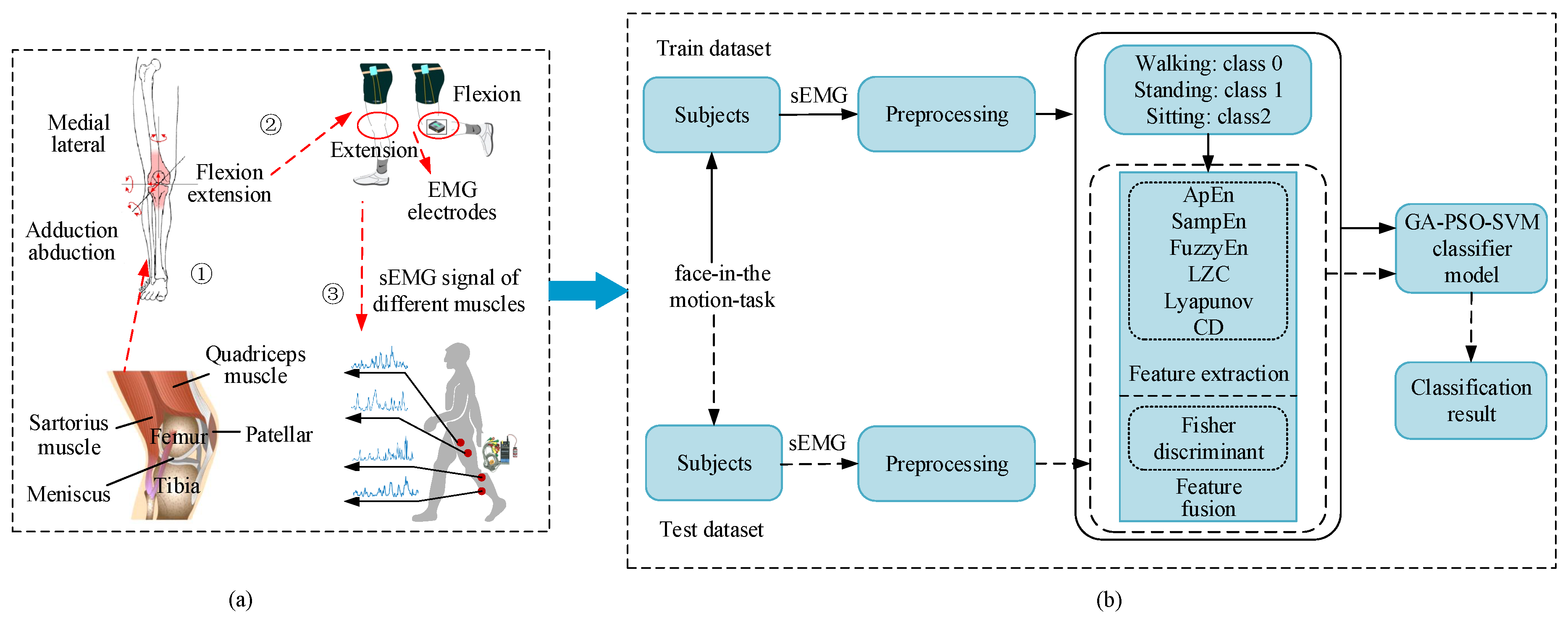 Lower Limb Motion Recognition with Improved SVM Based on Surface Electromyography