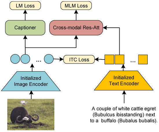 Fine-Grained Cross-Modal Semantic Consistency in Natural Conservation Image Data from a Multi ...